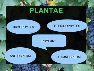 Biodiversity | PPT | Gardening | Home & Garden