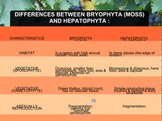Biodiversity | PPT