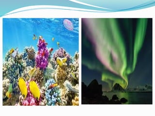 biodiv-ppt.pptx on environmental science project | PPT