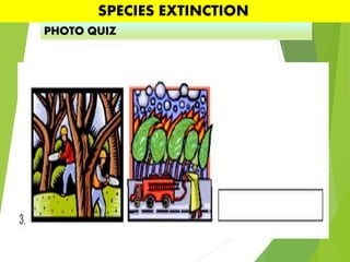 Teaching Biodiversity in K-to-12 Science Curriculum | PPTX ...