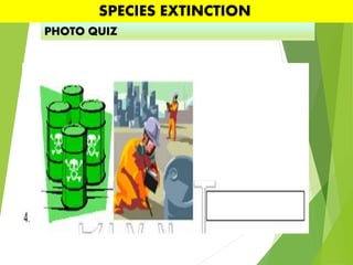 Teaching Biodiversity in K-to-12 Science Curriculum | PPTX ...