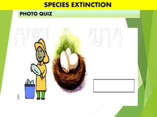 Teaching Biodiversity in K-to-12 Science Curriculum | PPTX ...