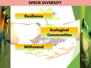 Teaching Biodiversity in K-to-12 Science Curriculum | PPTX