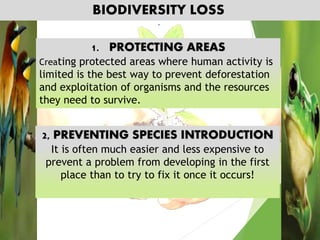 Teaching Biodiversity in K-to-12 Science Curriculum | PPTX