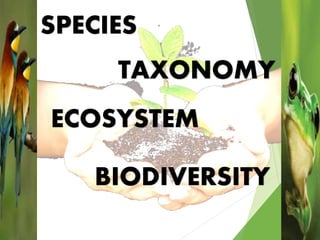 Teaching Biodiversity in K-to-12 Science Curriculum | PPTX