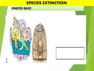 Teaching Biodiversity in K-to-12 Science Curriculum | PPTX ...