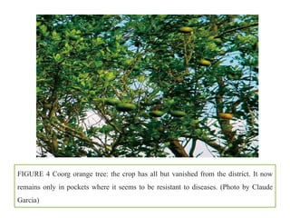 Biodivarsity ppt | PPT