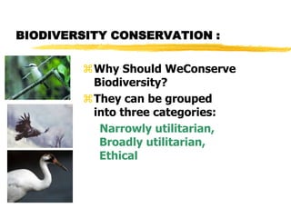 Biodiversity conservation | PPSX