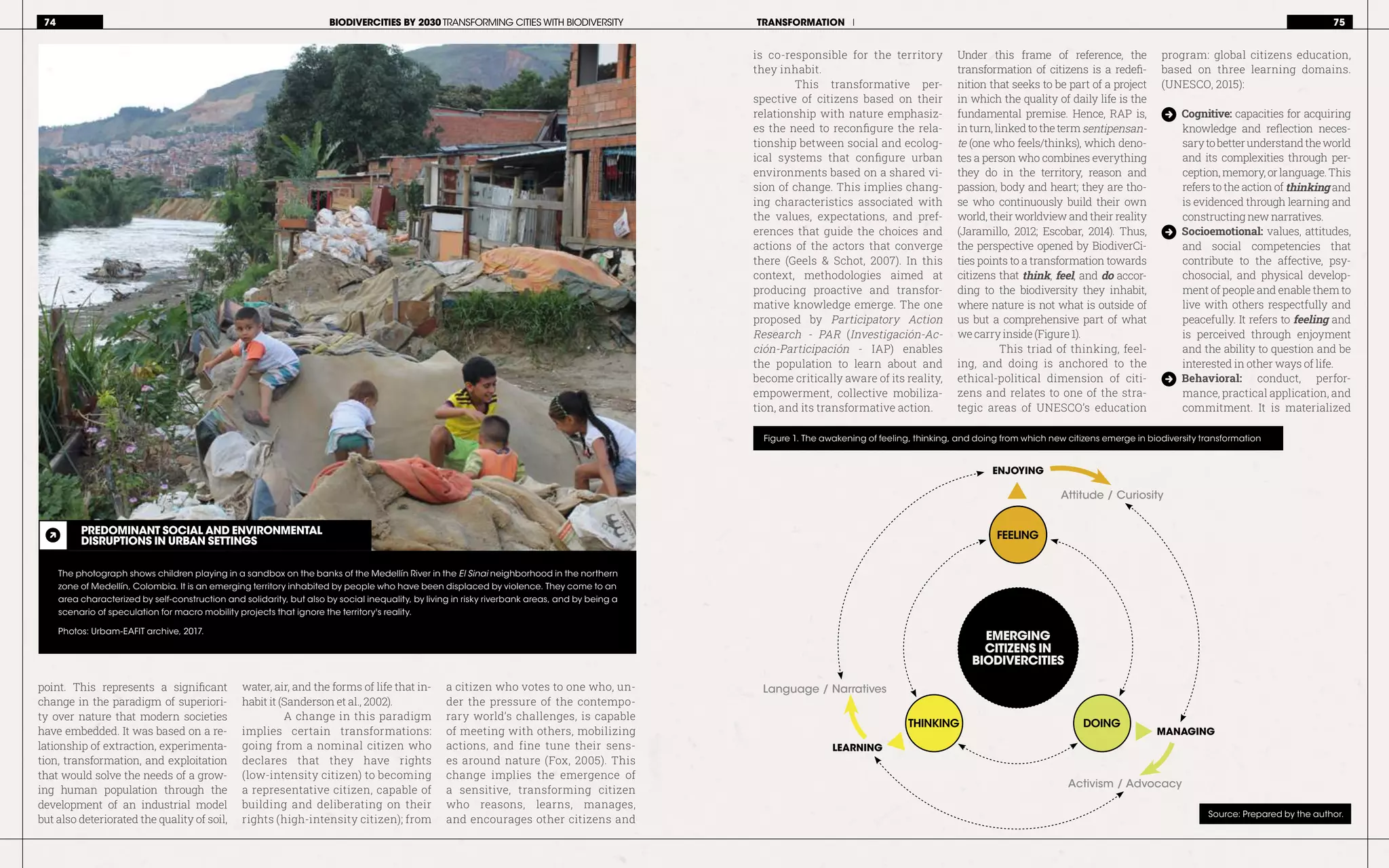 Biodivercities by 2030 : transforming cities with biodiversity | PDF