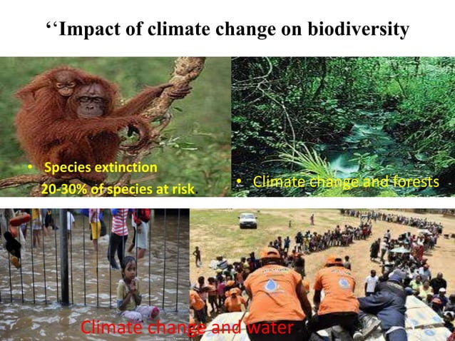 Impact of climate change on biodiversity | PPTX | Environment | Science