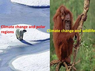 Impact of climate change on biodiversity | PPTX