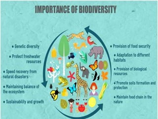 Conservation Of Biodiversity Poster