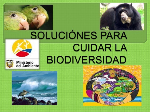 Biodiversidad Políticas Metas Y Estrategias Principales Para Su Cui…