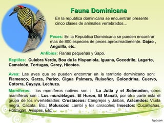 Biodiversidad | PPT