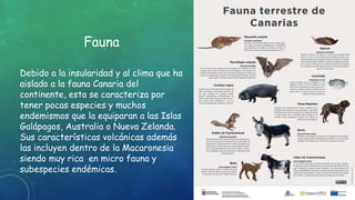 Biodiversidad de Canarias | PPTX