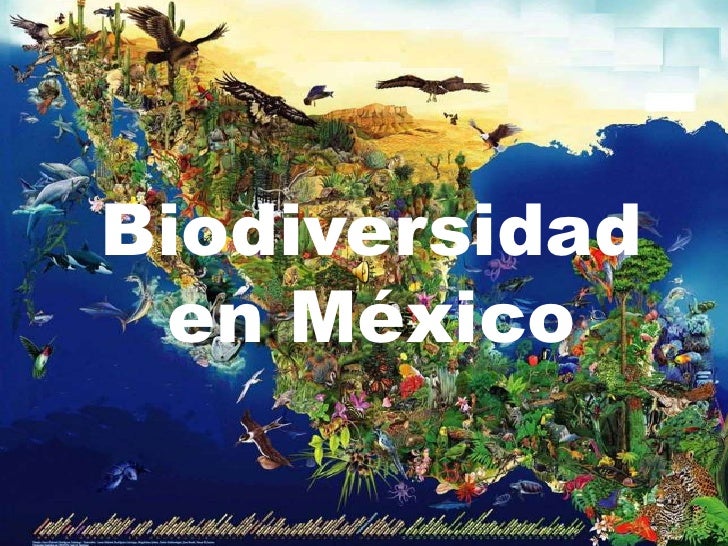La biodiversidad en Mexico