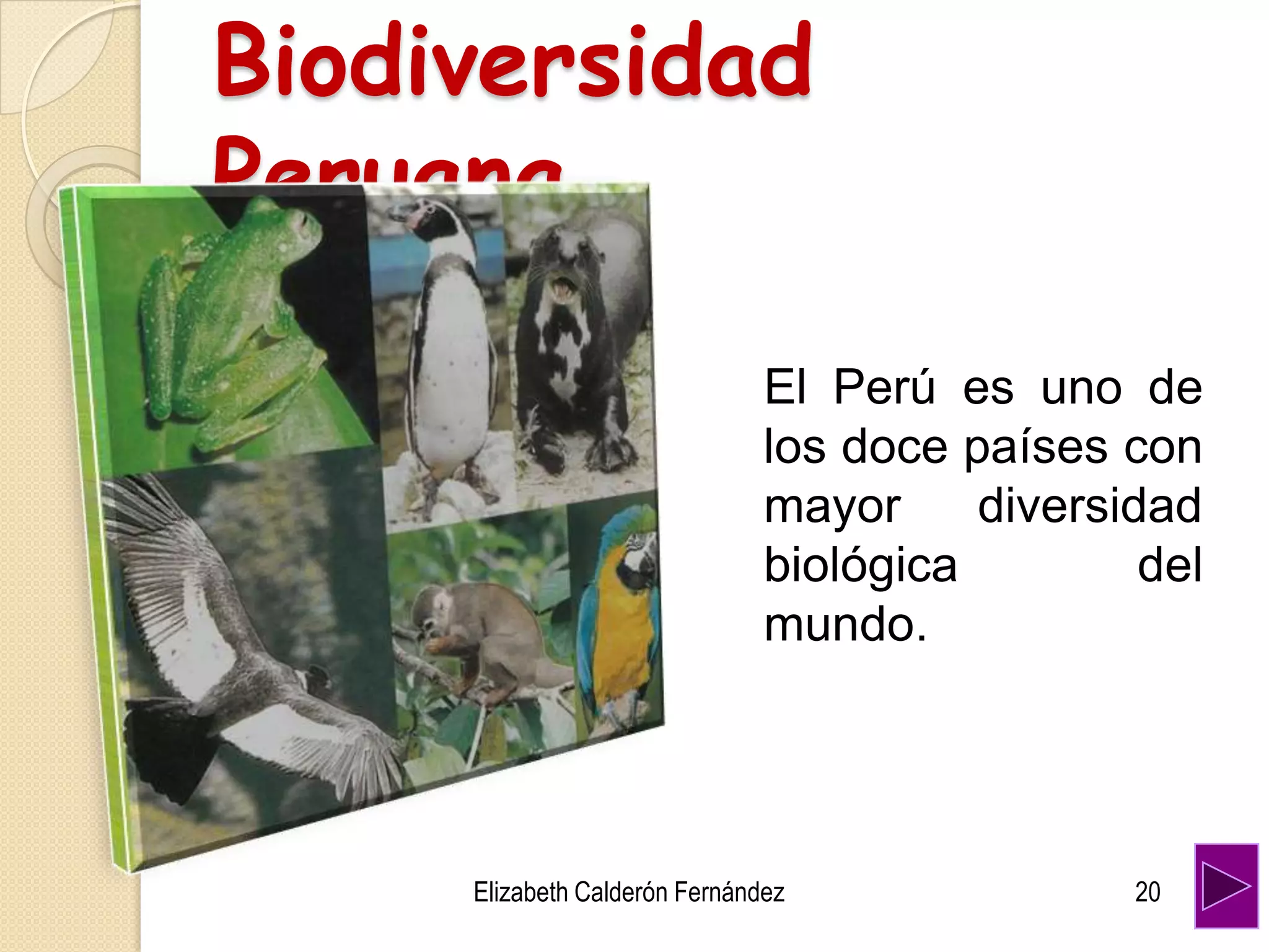 Biodiversidad peruana | PPTX