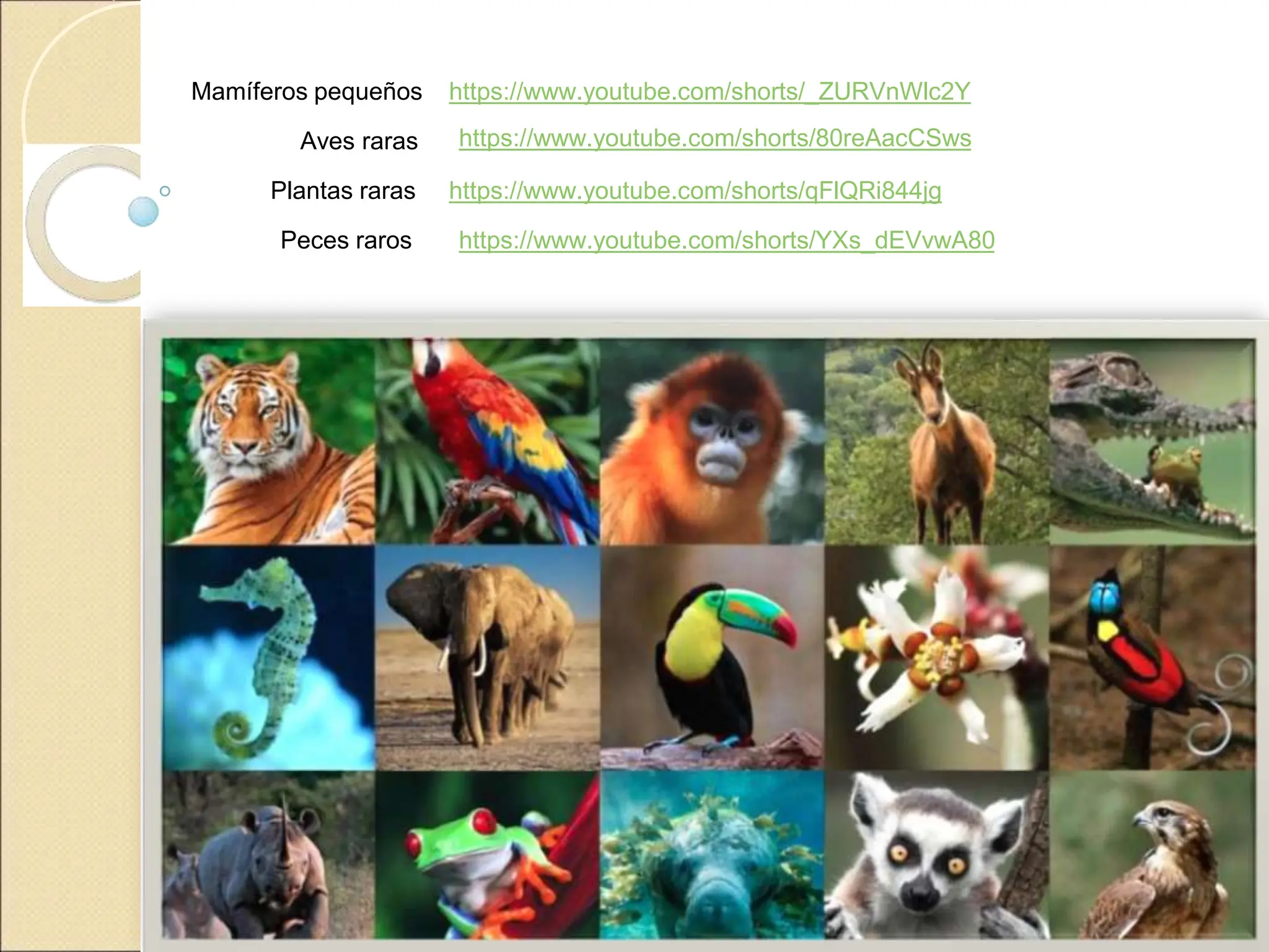 BIODIVERSIDAD Y CLASIFICACIÓN DE LOS SERES VIVOS.pptx