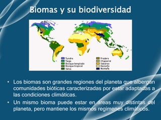 Biodiversidad y conservacion | PPT