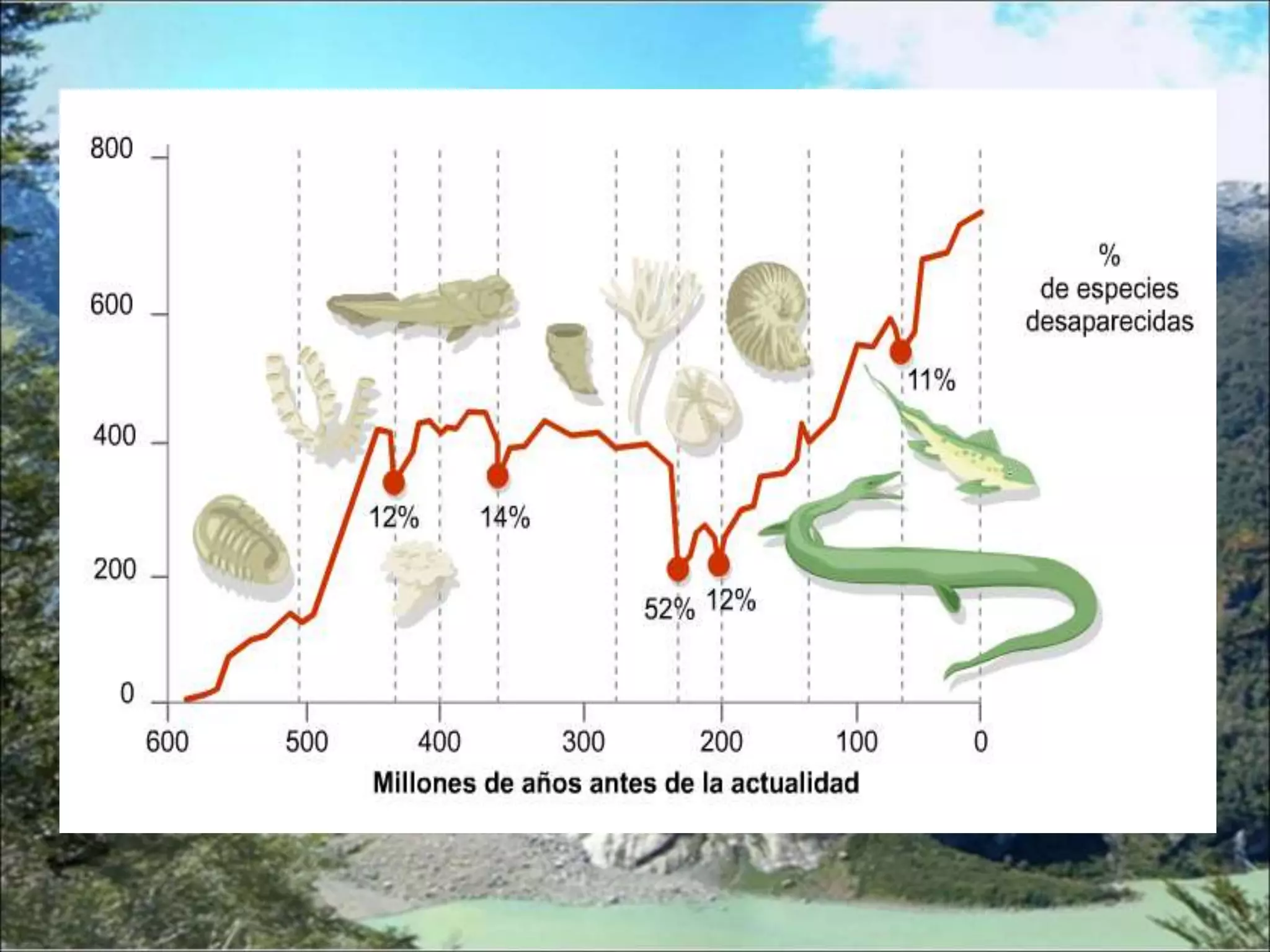 BIODIVERSIDAD Y ECOSISTEMAS EN EL MUNDO.ppt
