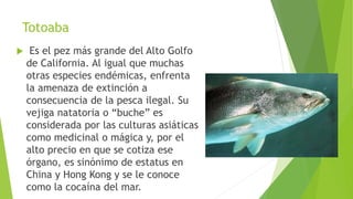 Biodiversidad y Especies originarias de México | PDF