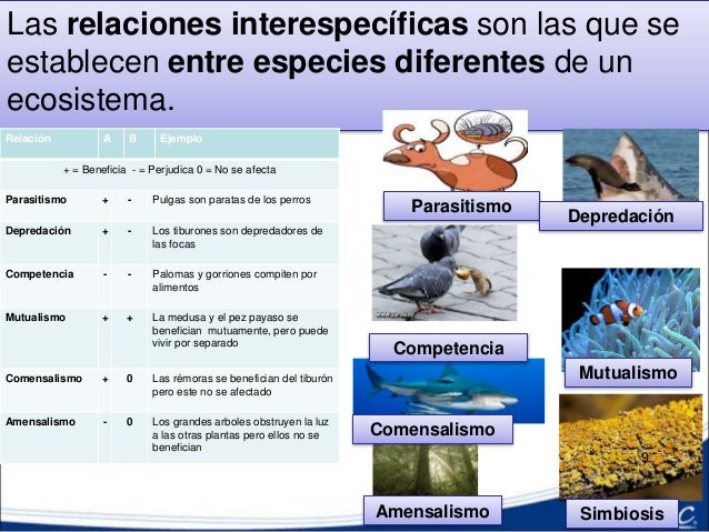 Biodiversidad y relaciones bioticas
