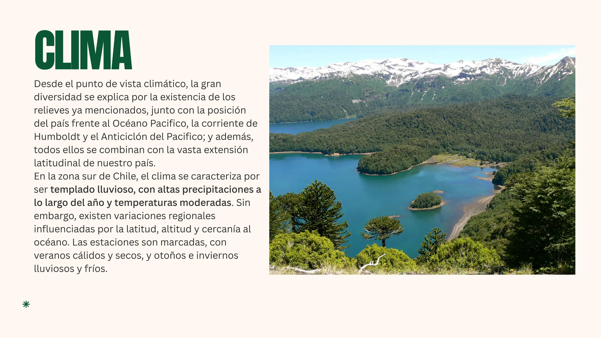Biodiversidad de la Zona Sur de Chile - Geografía 3ro/4to medio | PDF