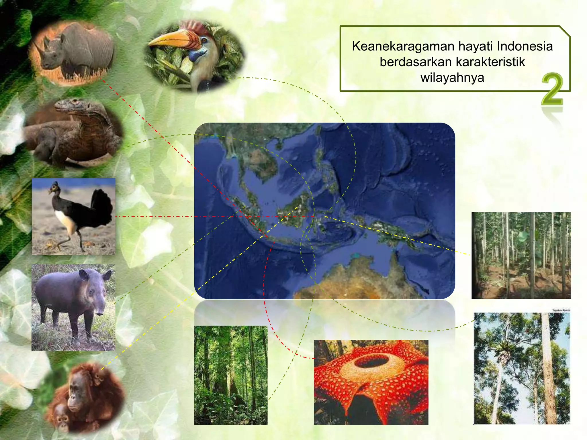 Biodiversitas | PPTX