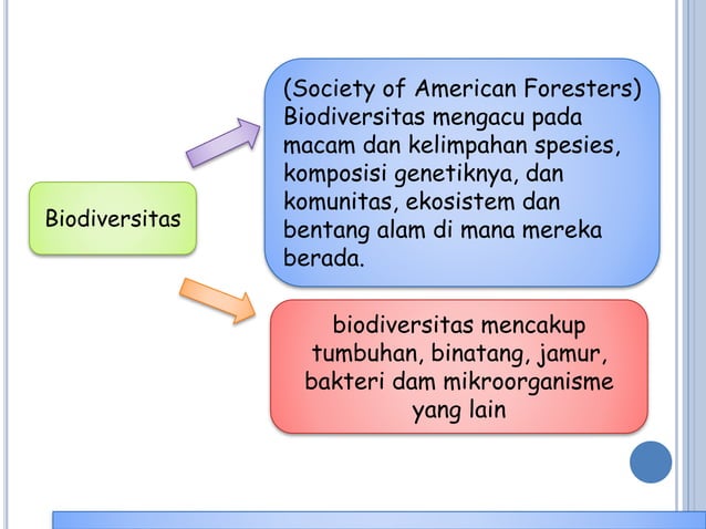 Biodiversitas.pptx