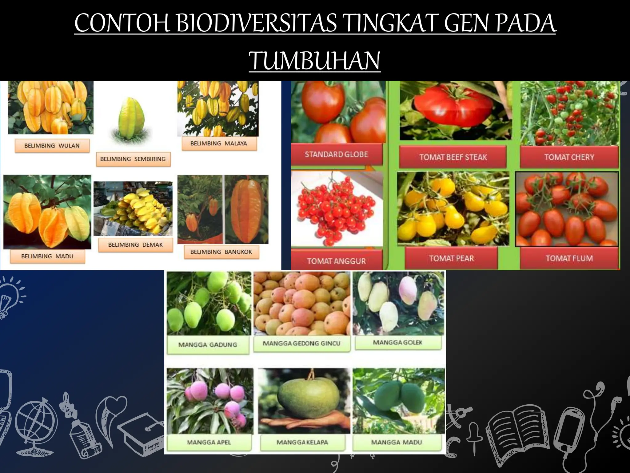 Biodiversitas Tingkat Gen (Keanekaragaman Tingkat Gen).pptx