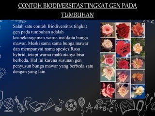 Biodiversitas Tingkat Gen (Keanekaragaman Tingkat Gen).pptx