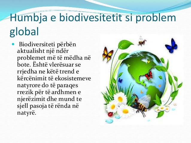 Biodiversiteti