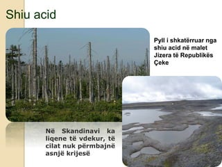 HUMBJA E BIODIVERSITETIT | PPTX