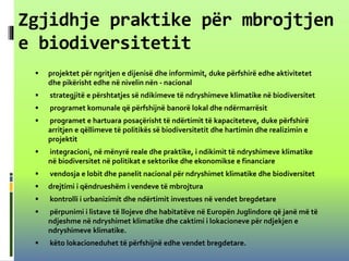Biodiversity projekt | PPTX