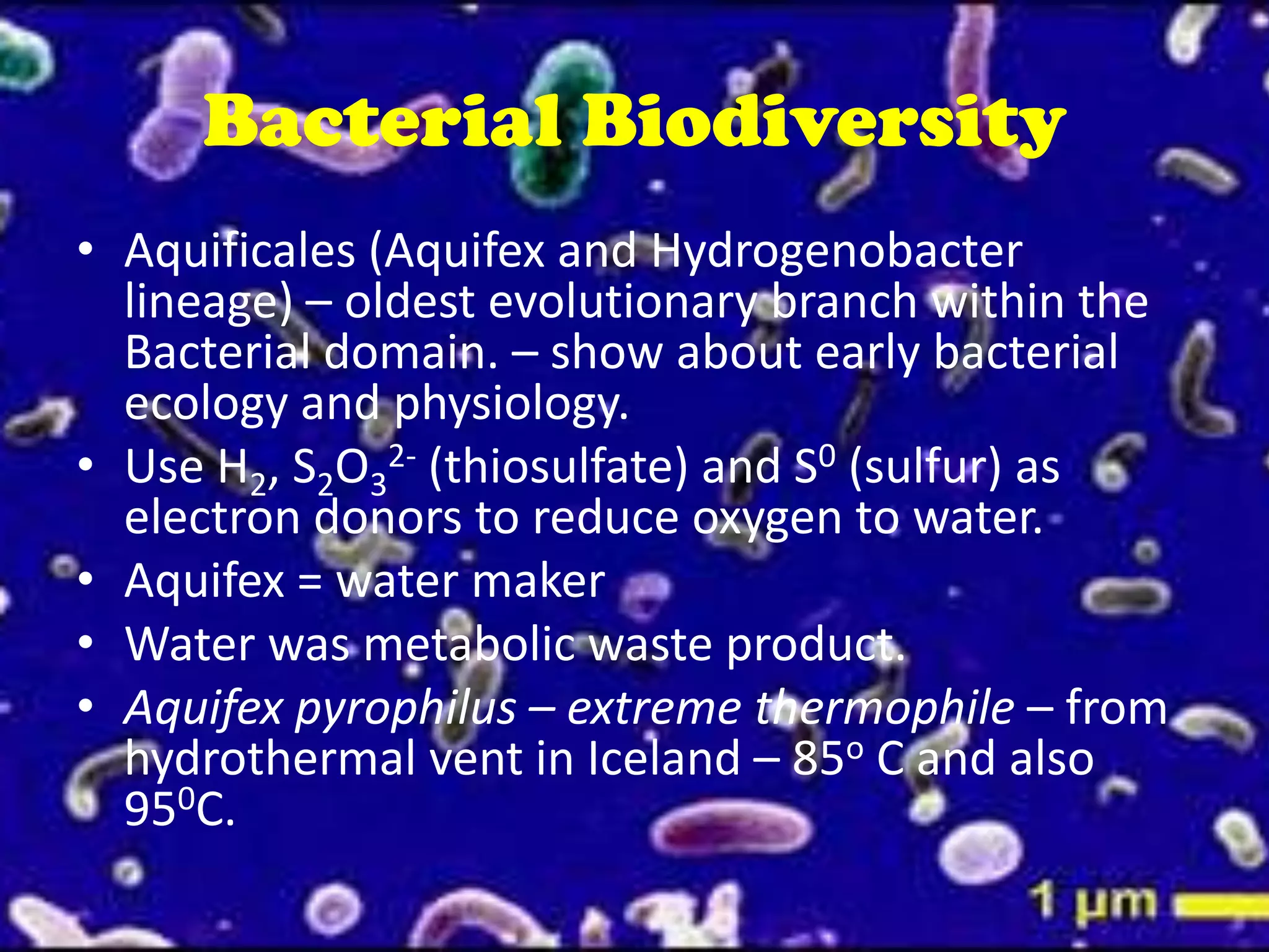 Biodiversity and Microbial Biodiversity | PPTX