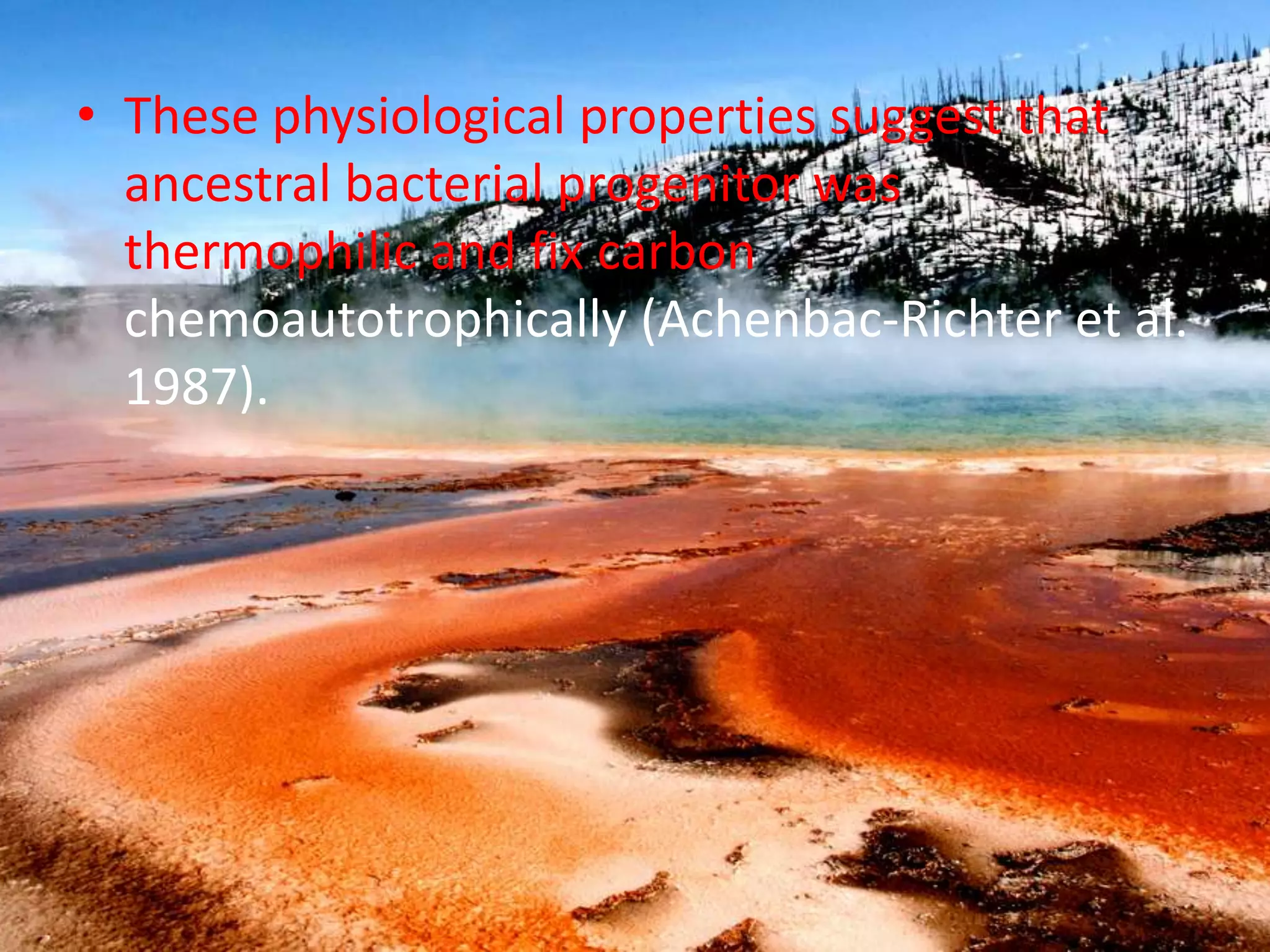 Biodiversity and Microbial Biodiversity | PPTX