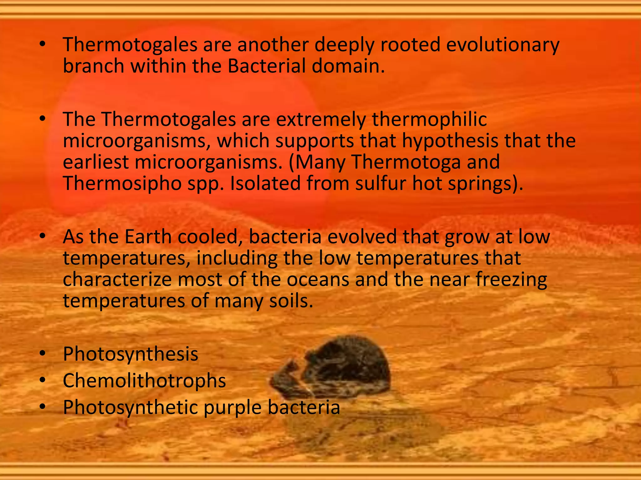 Biodiversity and Microbial Biodiversity | PPTX