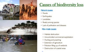 BIODIVERSITY-1.pdf