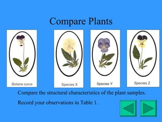 Biodiversity | PPT