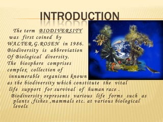 Biodiversity | PPT