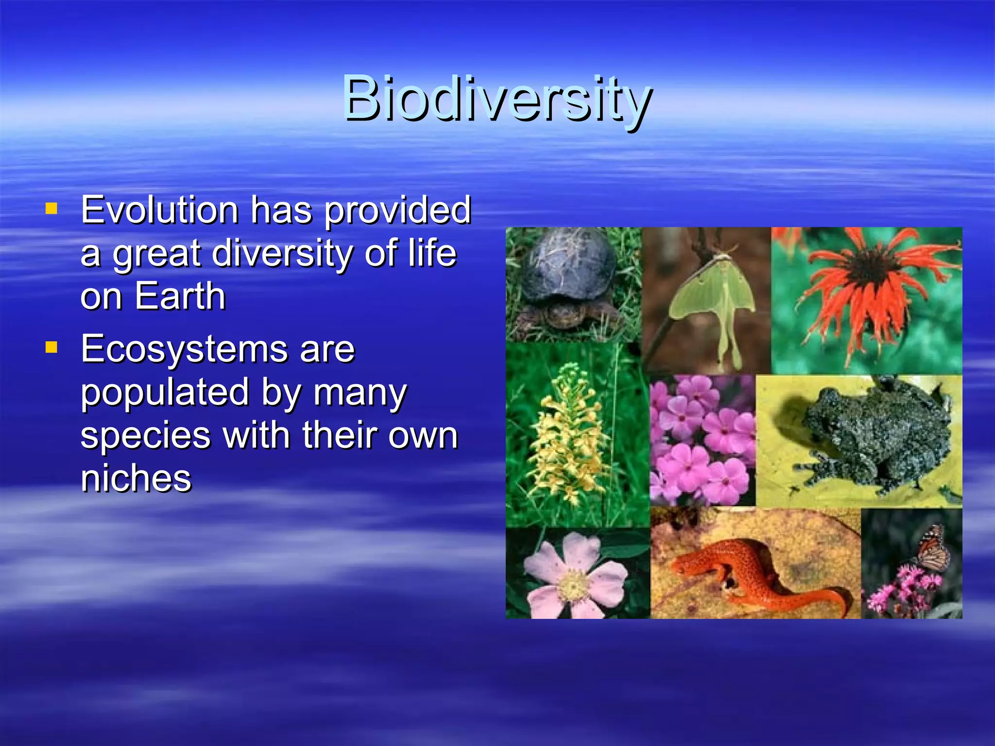 Biodiversity | PPT