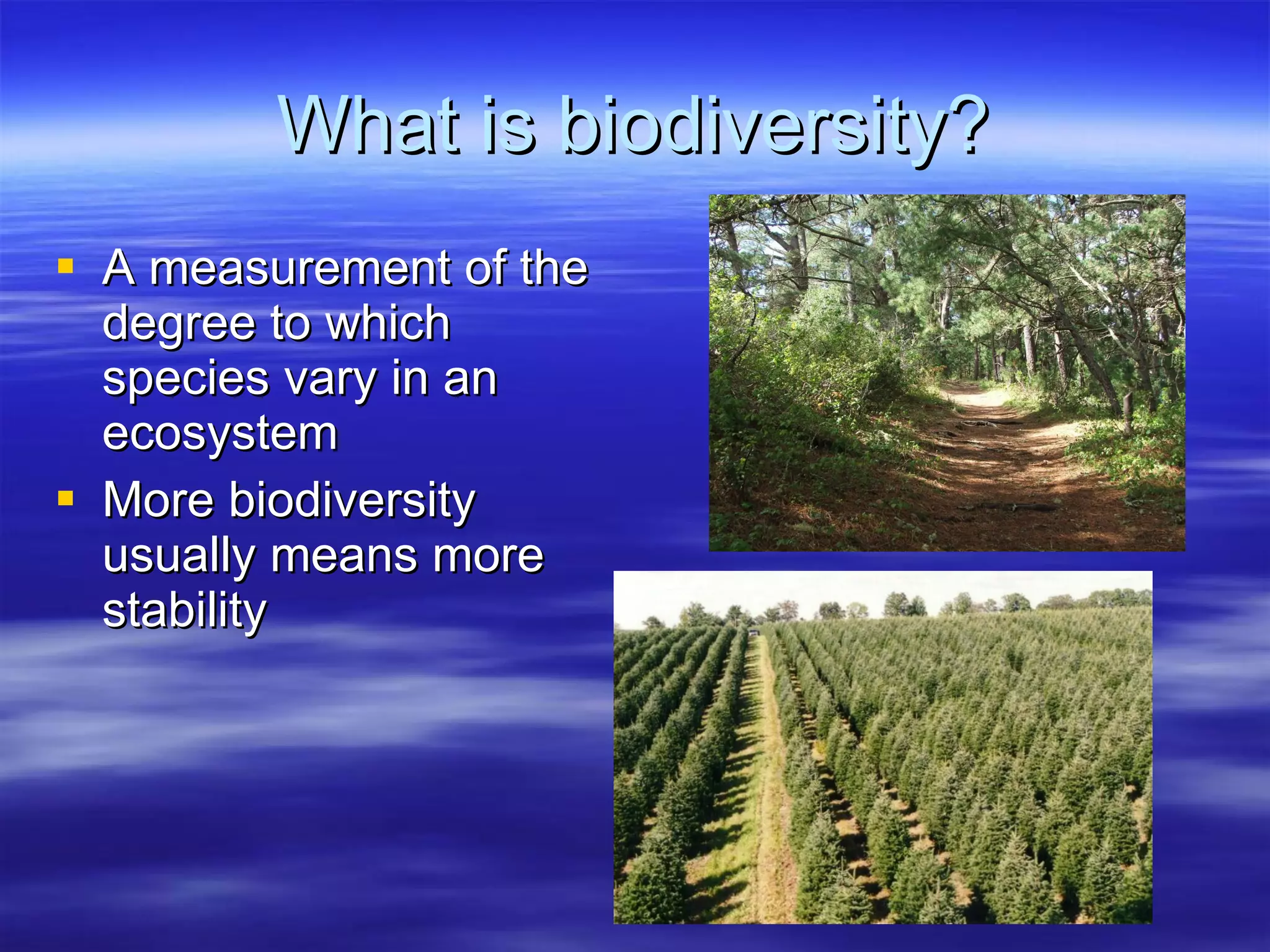 Biodiversity | PPT