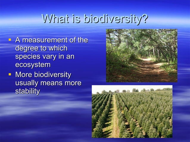 Biodiversity | PPT