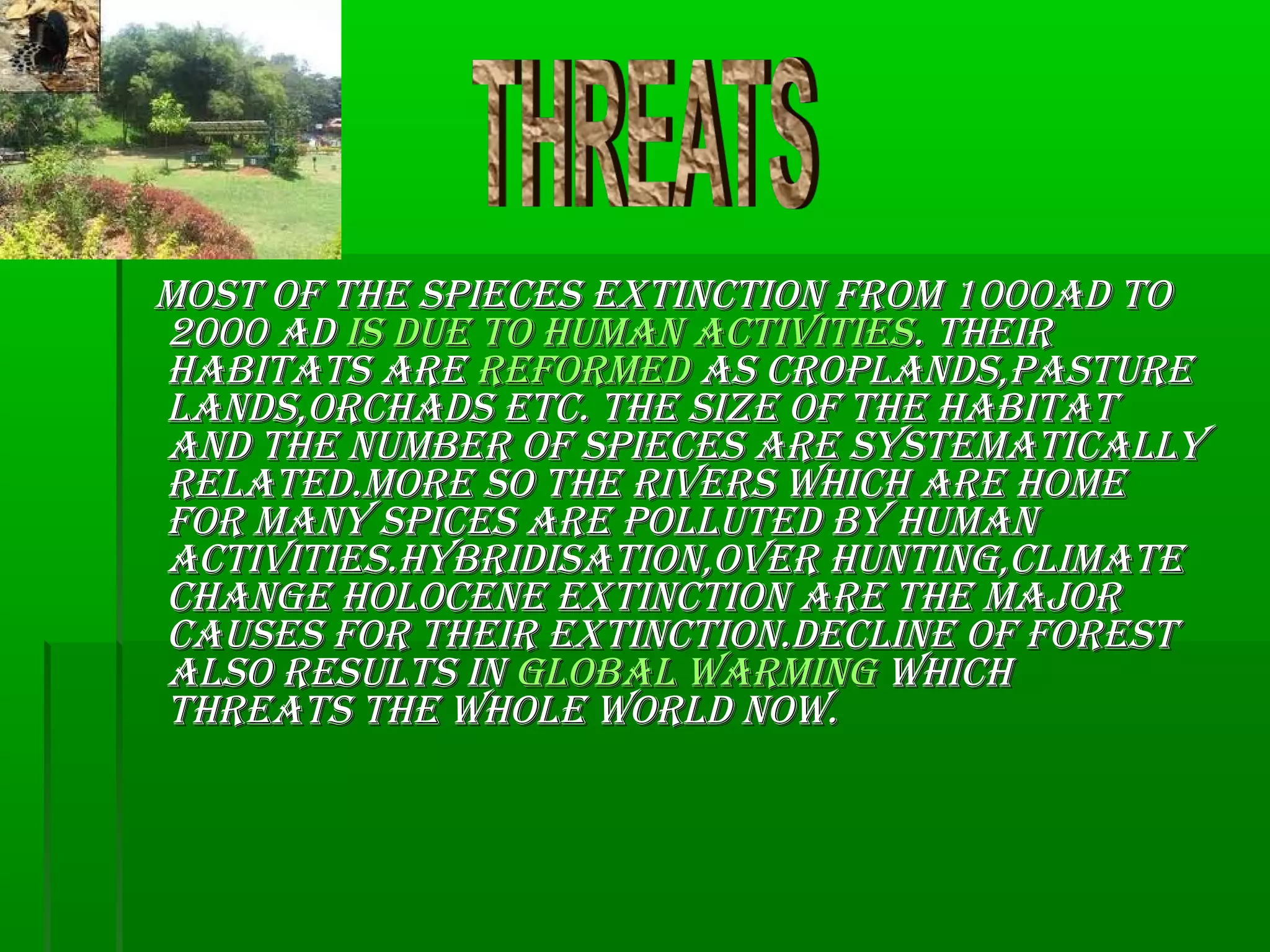 Biodiversity | PPT