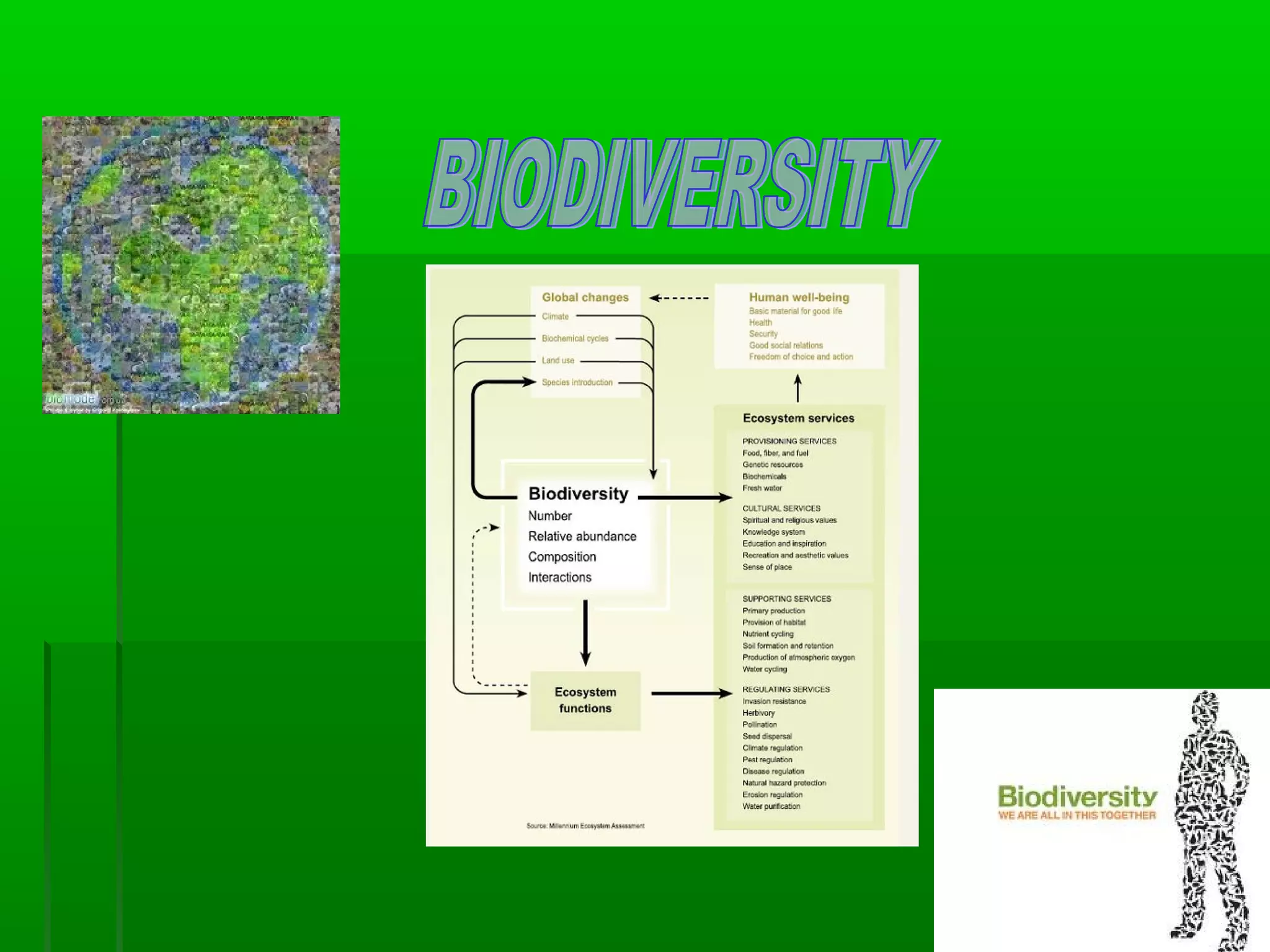 Biodiversity | PPT