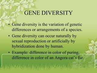 Biodiversity | PPTX