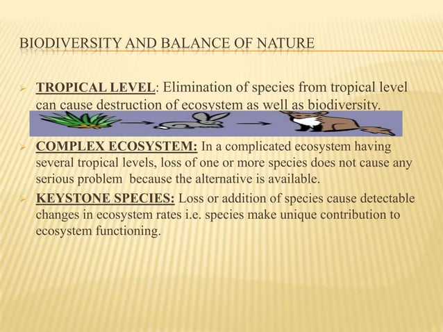 Biodiversity | PPTX