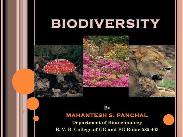 BIODIVERSITY | PPT