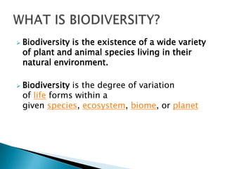 Biodiversity | PPTX