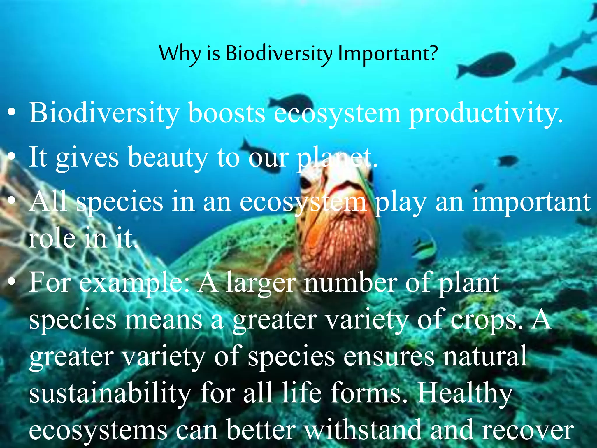 Biodiversity | PPT